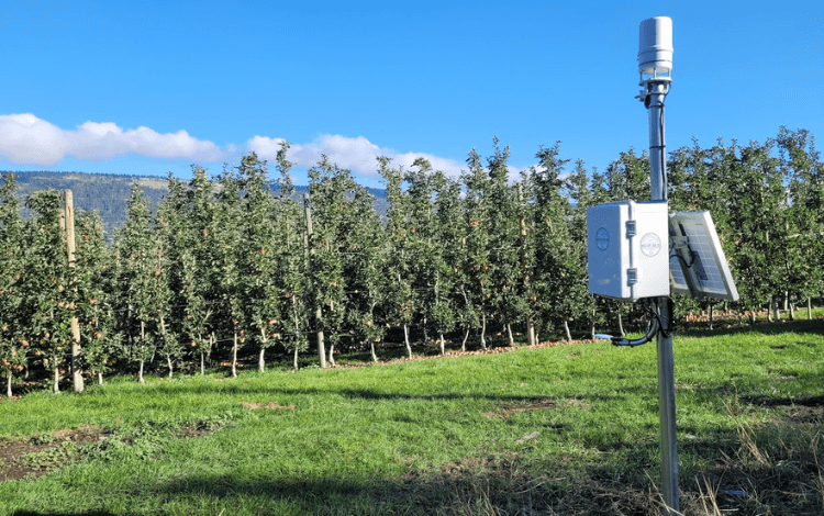 Remote Smart IoT Environmental Monitoring Systems | Digital Matter